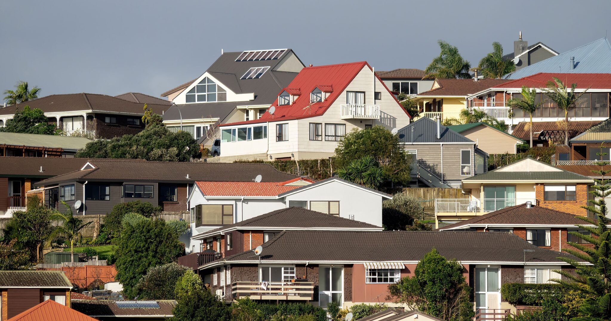 Property Management Solutions NZ – Rental Advice for Renters, Landlords ...